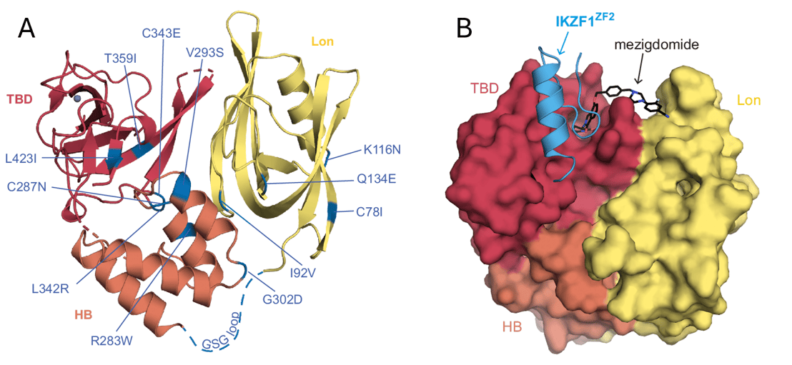 Hot Plasmids: Fall 2024
